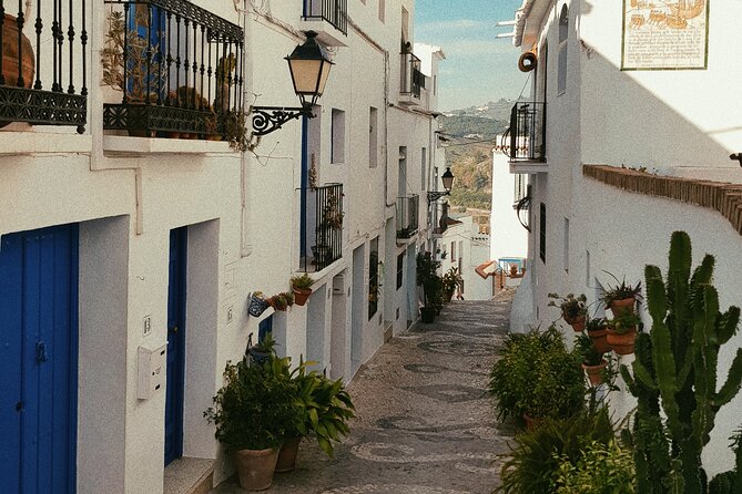 Ronda and White Villages from Seville-Small Group-Private Van - Who Would Love This Tour?