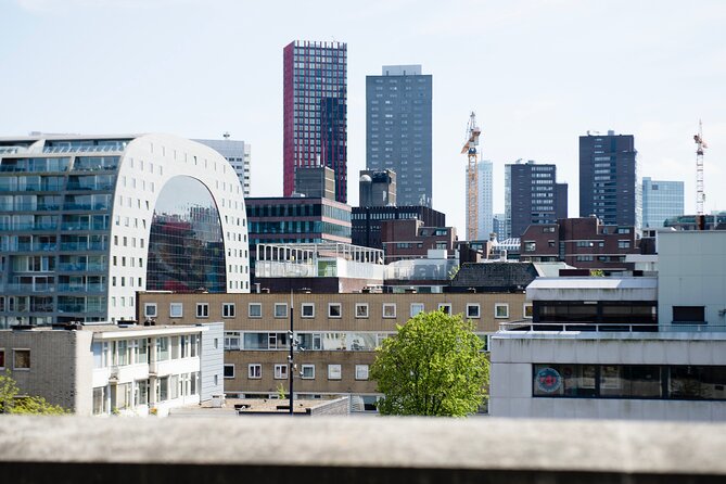 Rotterdam Rooftop tour - Visiting the Longest Rooftop Park: Luchtpark Hofbogen