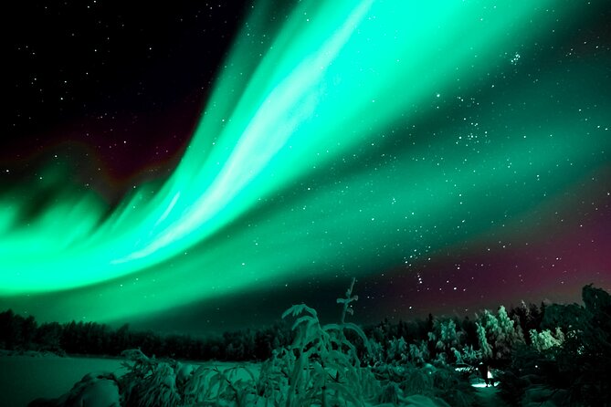 Rovaniemi: Private Aurora Tour with Guaranteed Sightings - An In-Depth Look at the Rovaniemi Aurora Safari