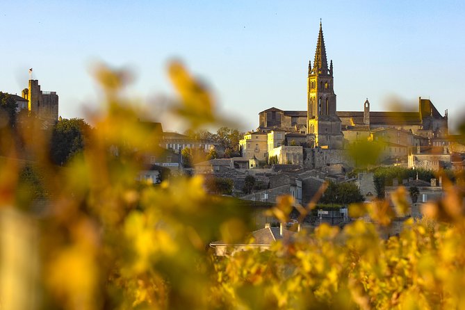 Saint Emilion Half-Day Trip with Wine Tasting & Winery Visit from Bordeaux - Key Points