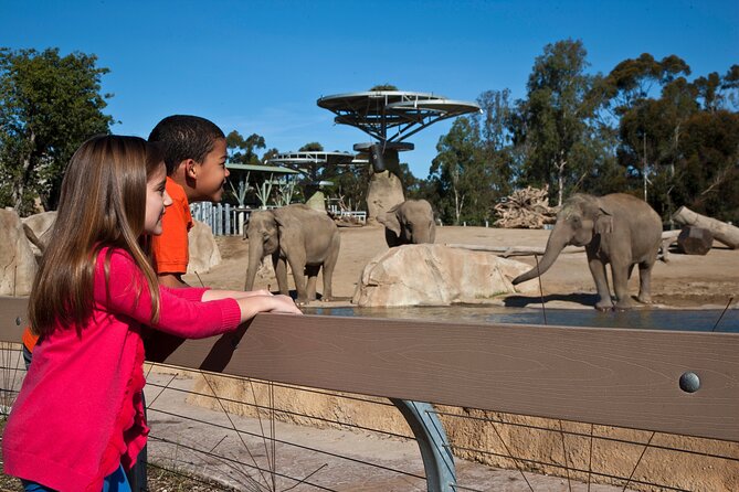 San Diego Zoo 1-Day Pass: Any Day Ticket - A Closer Look: What to Expect at the San Diego Zoo