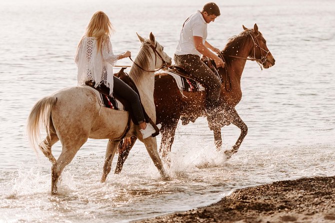 Santorini: Horse riding to the Black Sandy Beach (Eros beach) - A Deep Dive into the Santorini Horseback Adventure