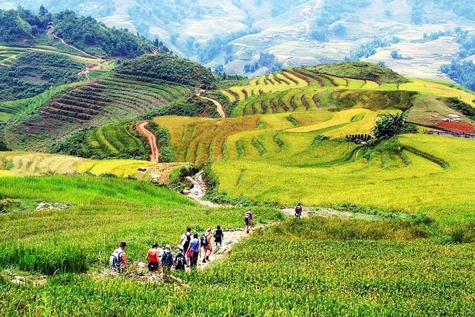 Sapa 2 Days 1 Night From Hanoi - Overnight in Ta Van Village - Key Points