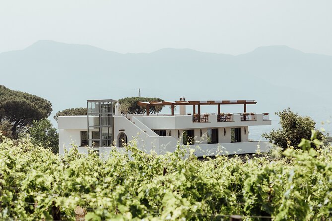 Scenic Wine Tasting & Lunch on the Slopes of Vesuvius from Naples - Discovering Vesuvius Vineyards: An Honest Look