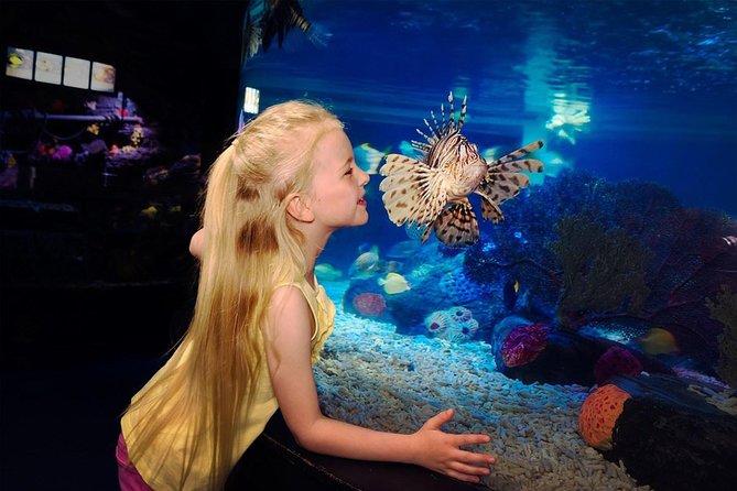 SEA LIFE Great Yarmouth General Admission - The Practical Details