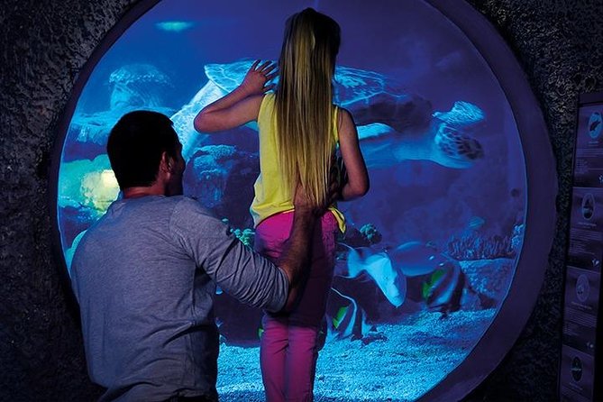 SEA LIFE Manchester Admission Ticket - What to Expect from Your Visit