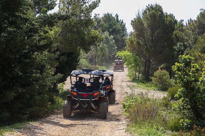 Self-drive Off Road Buggy - Detailed Breakdown of the Experience