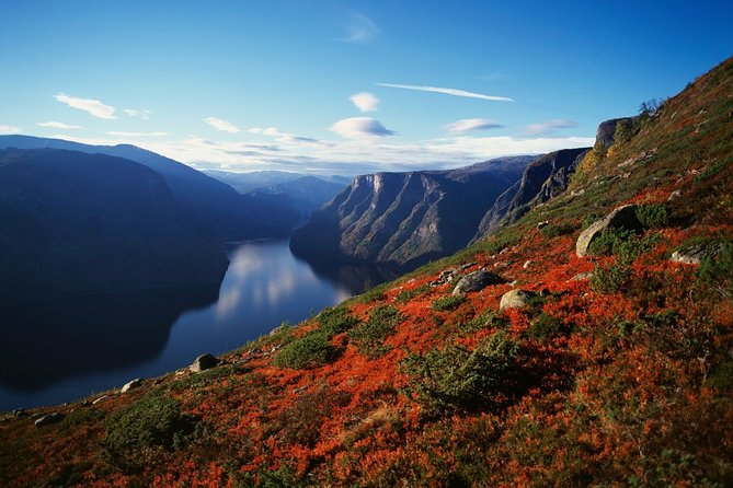 Self-Guided Full Day Round-trip From Bergen - The Itinerary: What to Expect