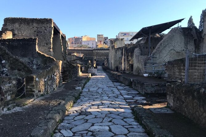 Semi-Private Guided Small-Group Tour of Herculaneum - Why Choose This Tour?
