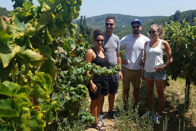 Semi-Private Wine Discovery Tour in Chania - What to Expect from the Tour