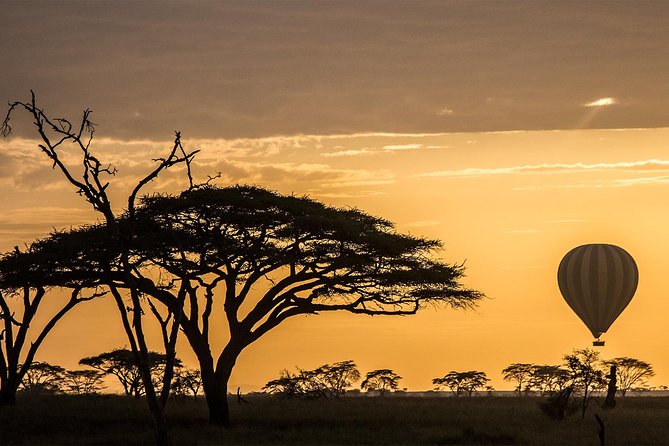 Serengeti Balloon Safari and authentic bush breakfast - What To Expect on the Serengeti Balloon Safari