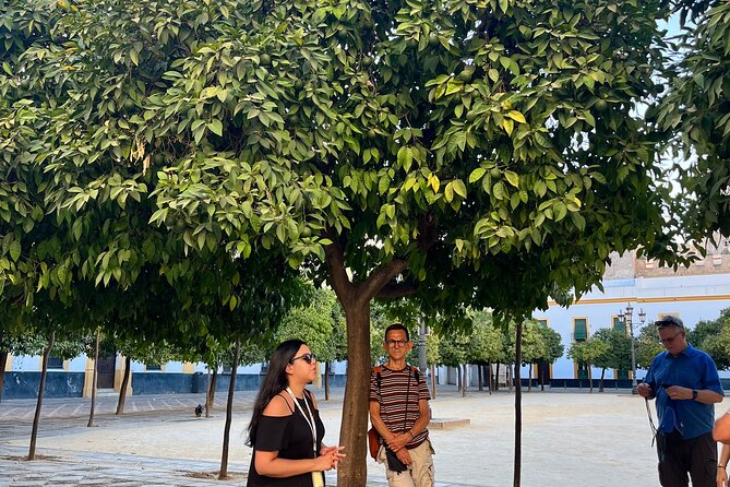 Seville Highlights Private Walking Tour - Why Choose the Seville Highlights Private Walking Tour?