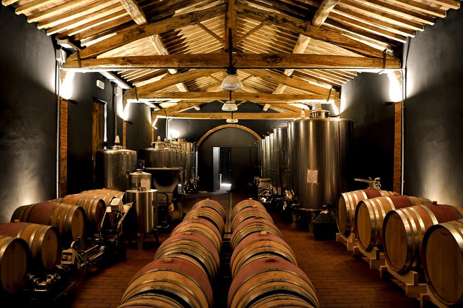 Siena: A Wine Tour and Tasting Experience - The Experience in Practice