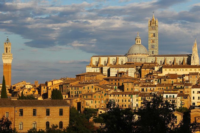 Siena Tour and exclusive window on Piazza del Campo - The Itinerary in Detail