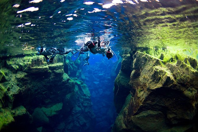 Silfra Fissure Snorkeling From Reykjavík - Free Underwater Photos - The Reality of the Silfra Snorkeling Experience