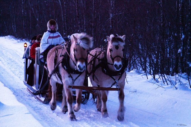 Sleigh Ride w/ snacks - Experience Arctic Farm Life - Who This Tour Suits Best