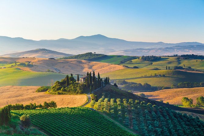 Small group Brunello di Montalcino Wine Tour from Siena - An In-Depth Look at the Experience