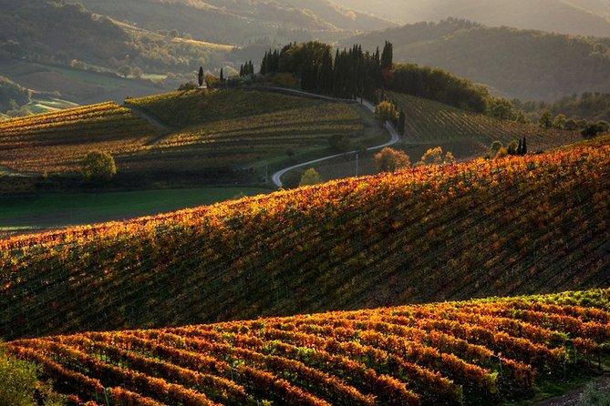 Small-Group Chianti and San Gimignano Sunset Trip from Siena - Discovering Tuscany’s Heart: An Honest Look at the Itinerary