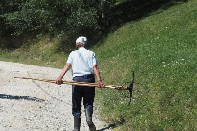 Small-Group Day Trip in Romanian Authentic Mountain Villages from Brasov - What to Expect from the Experience