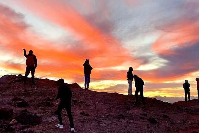 Small Group Teide National Park Volcanic and Forest Wonders - An In-Depth Look at the Experience