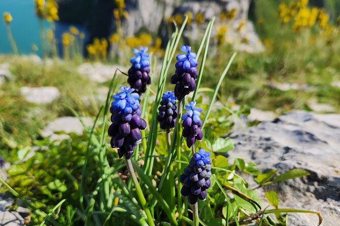 Small Group Tour at Cape of Rodon; Hidden Beaches & History - An Overview of the Experience
