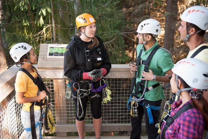 Small-Group Zipline Adventure in Queenstown - The Sum Up