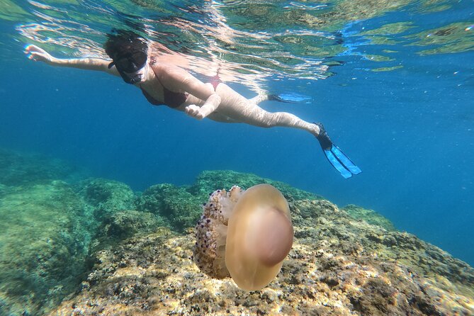 SNORKELING ADVENTURE | Pula Boat - A Closer Look at What to Expect on Your Snorkeling Adventure