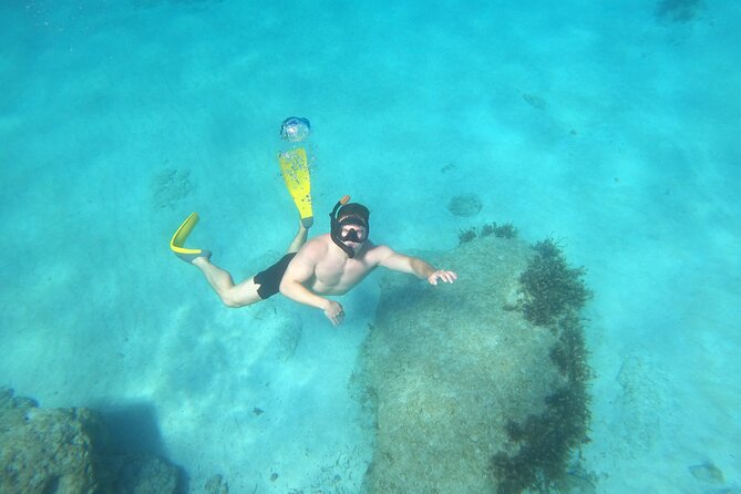 snorkeling ,Turtle Watching in Cyprus - The Itinerary: What To Expect