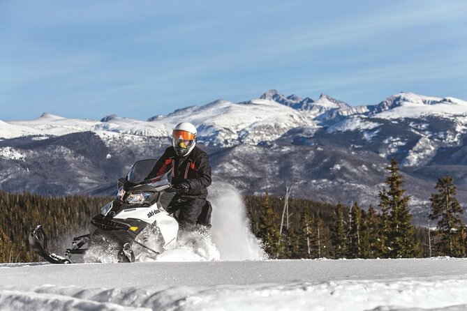 Snowmobile & Animals Day Tour - An In-Depth Look at the Tour Experience