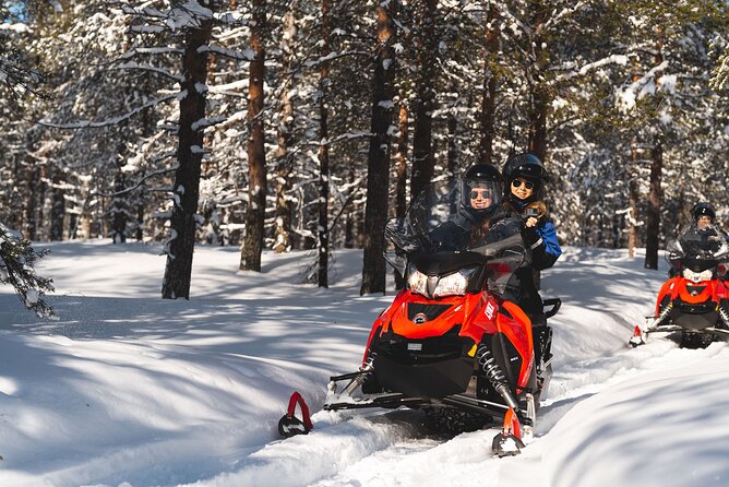 Snowmobile Safari into the Arctic Circle Forest - Introduction to the Arctic Forest Snowmobile Safari