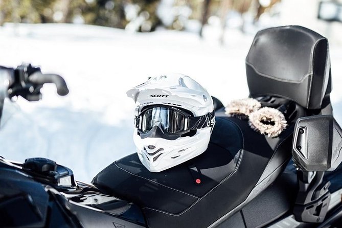 Snowmobile Safari through Lappish Forest from Rovaniemi - An In-Depth Look at the Snowmobile Safari Experience