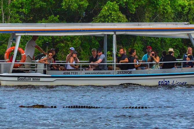 Solar Whisper Daintree River Crocodile and Wildlife Cruise - An In-Depth Look at the Experience