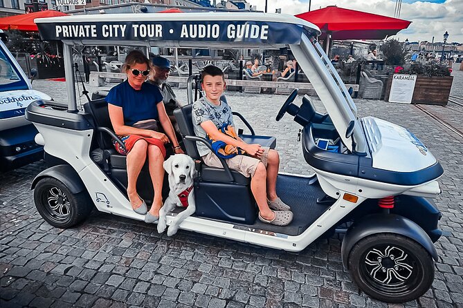 Stockholm Highlights: Private Golf Cart Tour - The Sum Up