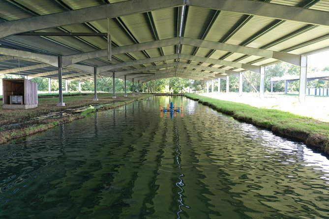 Sturgeon Fish-Farm Visit and Caviar Discovery Tasting in Neuvic - Why This Tour Works Well
