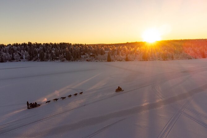 Sunrise Zen Husky Tour (10:00 to 13:00 - sitting on the sled) - Key Points