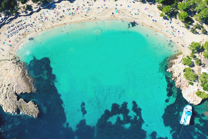 Sunset Beach Hopping Cruise, Cala Comte and Cala Bassa, SUP and snorkelling - Detailed Breakdown of the Itinerary