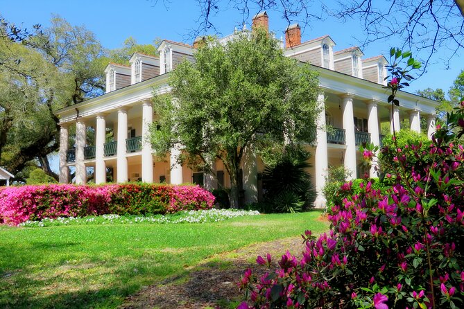 Swamp Boat Ride and Oak Alley Plantation Tour from New Orleans - Who Would Love This Tour?