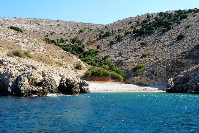 Swimming and Snorkeling on Wild bays with Captain Bobo - Key Points
