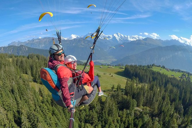 Tandem Paragliding Experience from Interlaken - Overview of the Paragliding Experience