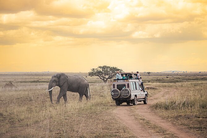 Tanzania Classic - 7 Days - Starting Point: A Warm Welcome at Arusha Airport