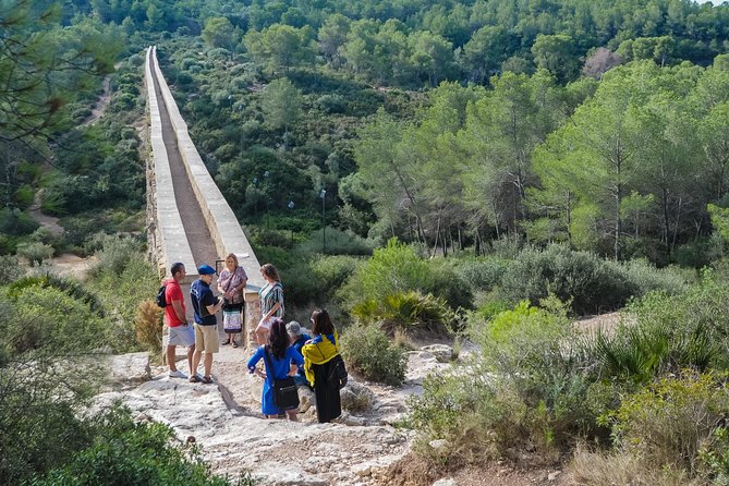 Tarragona and Sitges Small Group Tour - Roman History & Culture - A Deep Dive into the Tarragona and Sitges Experience
