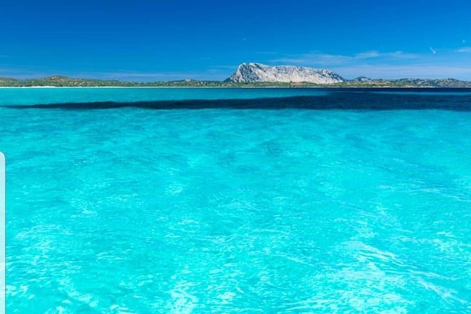 Tavolara Boat Tour and Snorkeling - Why This Tour Stands Out