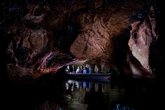 Te Anau Glow Worm Caves Tour - An Introduction to an Underground Wonder