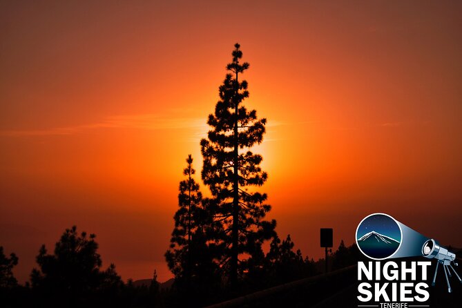Teide National Park Sunset & Stargazing with Dinner (Star Safari) - A Deep Dive into the Experience