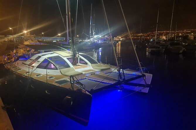 Tenerife Whales and Dolphins Watching Experience in Catamaran - Authentic Experiences Shared by Travelers