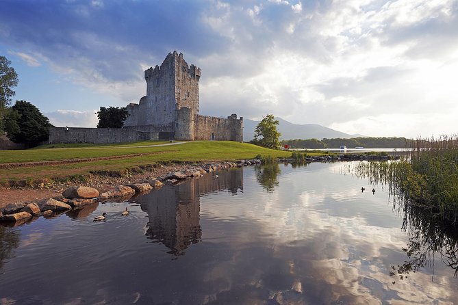 The Classic Ring of Kerry & Skellig Ring Tour - The Experience of Traveling in Comfort and Style