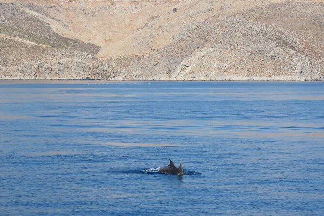The Santa Maria Full-Day Island Cruise in Aegean Sea - An In-Depth Look at the Santa Maria Full-Day Island Cruise