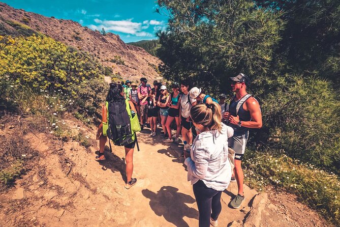 The Volcano Heart Tour: Hiking, Tasting and Sunset Experience - Introduction to the Tour