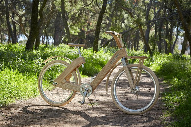 The Wooden Bicycle Tour in Stockholm - A Fresh Way to Discover Stockholm