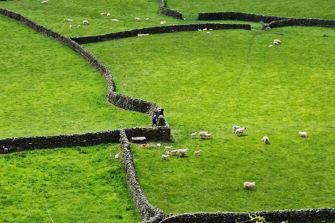 The Yorkshire Dales of All Creatures Great & Small - Key Points